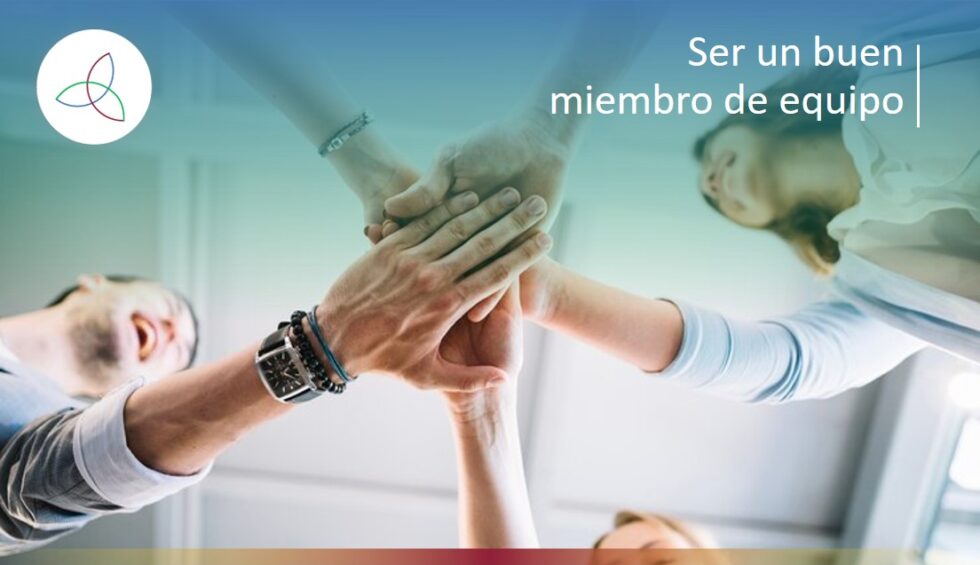 SER UN BUEN MIEMBRO DE EQUIPO - Consultoria